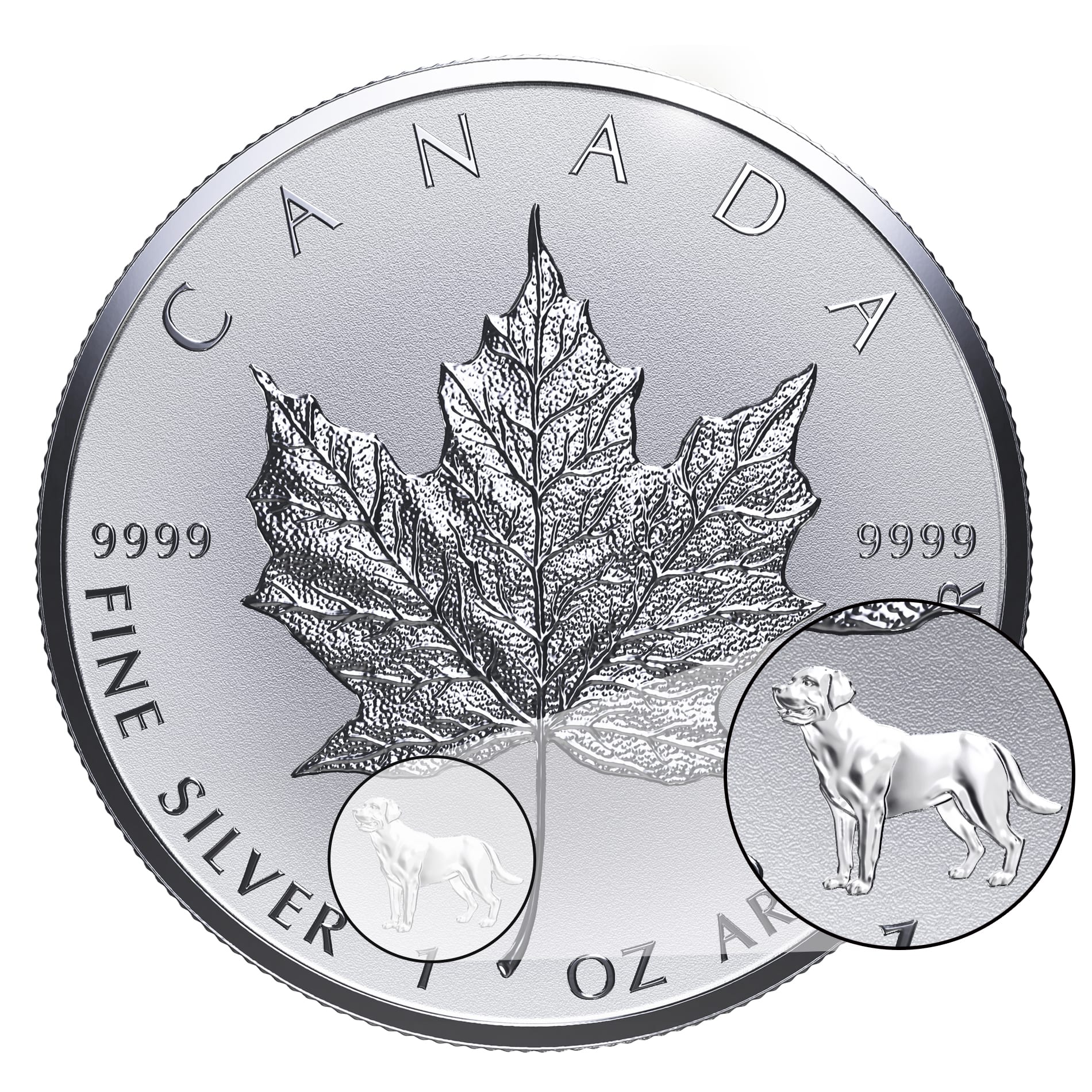 Exclusive Silver Lunar New Year Coin | Dillon Gage